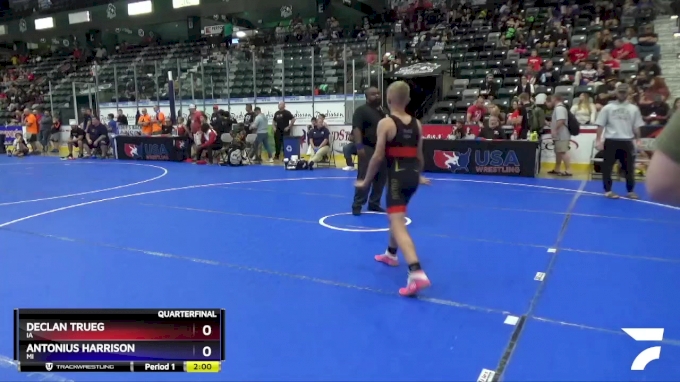 108 lbs Quarterfinal - Declan Trueg, IA vs Antonius Harrison, MI