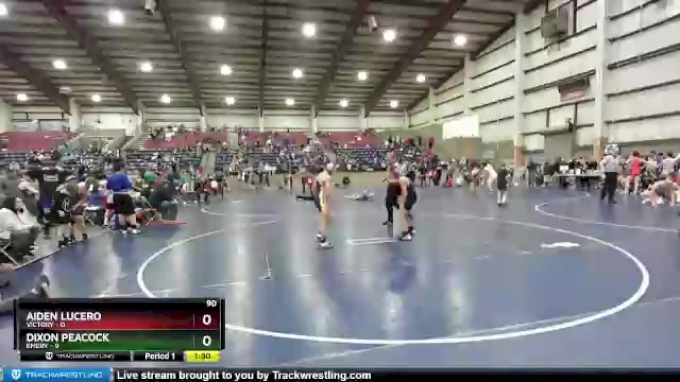 90 lbs Semis & Wb (16 Team) - Dixon Peacock, Emery vs Aiden Lucero, Victory