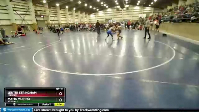 115 lbs Cons. Round 2 - Matia Murray, Westlake vs Jentri Stringham, Fremont
