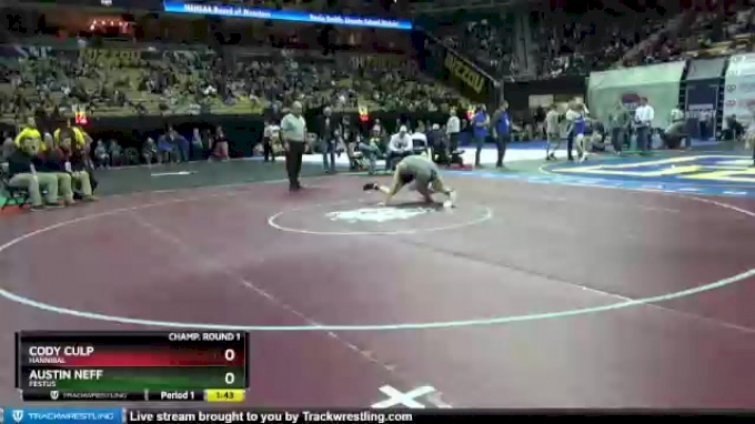 126 lbs Champ. Round 1 - Cody Culp, Hannibal vs Austin Neff, Festus