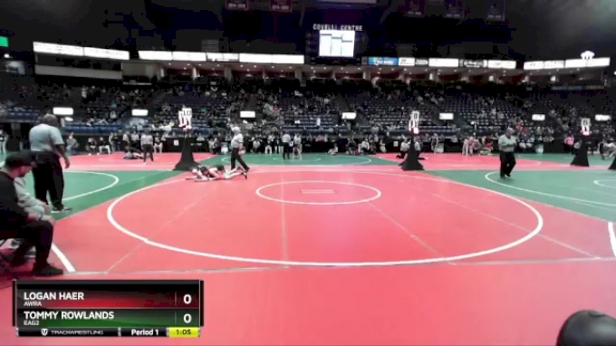 138 lbs 1st Place Match - Tommy Rowlands, EAG2 vs Logan Haer, AWRA