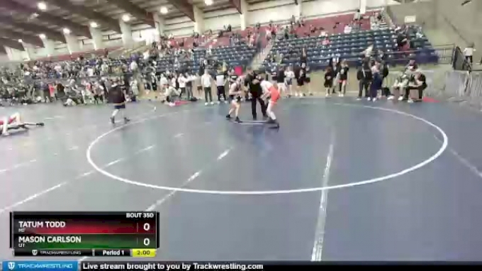 110 lbs Semifinal - Tatum Todd, MT vs Mason Carlson, UT