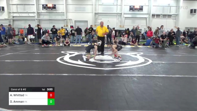 J-75 lbs Consi Of 8 #2 - Andrew Whitted, TN vs Daylen Amman, PA