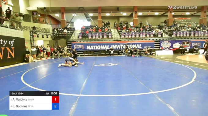 109 lbs Quarterfinal - Alyssa Valdivia, Brewton-Parker vs Jasmine ...