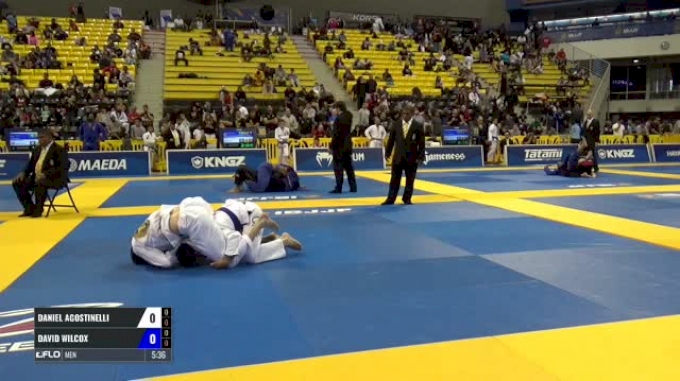 Daniel Agostinelli vs David Wilcox IBJJF 2017 World Championships