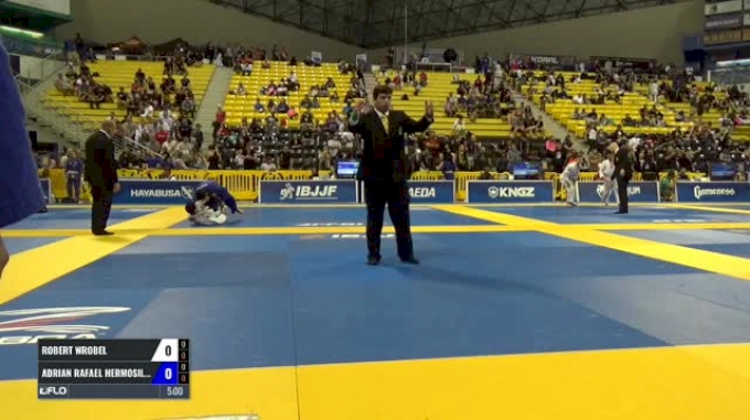 Robert Wrobel vs Adrian Rafael Hermosillo IBJJF 2017 World Championships