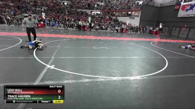 54 lbs Champ. Round 1 - Trace Haugen, ParkviewAlbany Youth Wrestling vs ...
