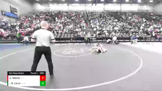 144 lbs 3rd Place Match - Bryson Lloyd, Wasatch vs David Wetzel ...