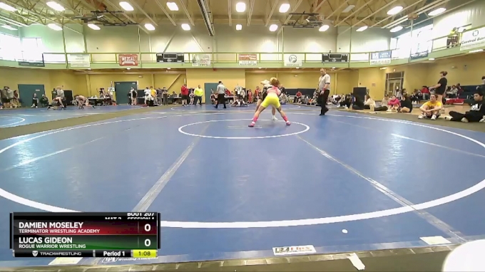 132 lbs Quarterfinal - Damien Moseley, Terminator Wrestling Academy vs ...