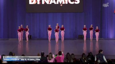 Dance Dynamics - Mini Elite Small Pom [2026 Mini - Premier - Pom ...
