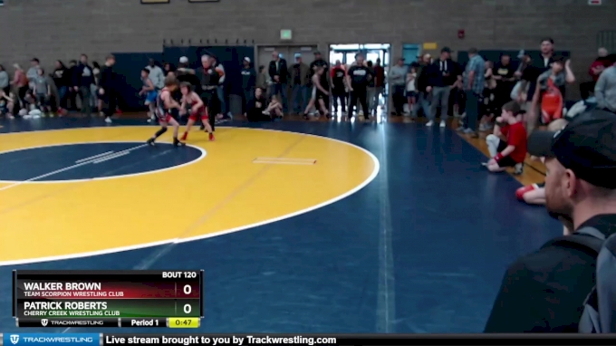 56 lbs Cons. Round 2 - Walker Brown, Team Scorpion Wrestling Club vs ...