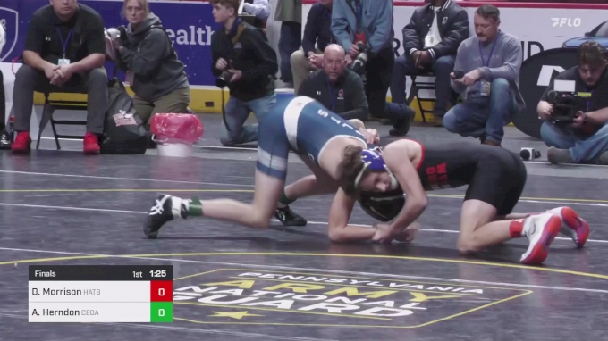 107 lbs Final - Dominick Morrison, Hatboro-Horsham vs Aiden Herndon ...