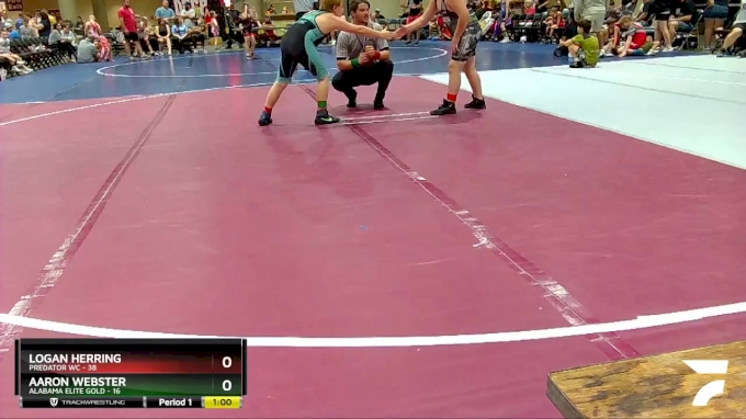 Round 2 (6 Team) - Aaron Webster, Alabama Elite Gold vs Logan Herring ...