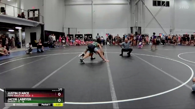 126 lbs Round 3 (8 Team) - Jacob Labryer, Division-1 TC vs Justin D ...