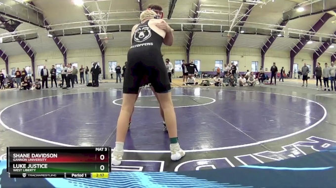197 lbs 3rd Place Match - Shane Davidson, Gannon University vs Luke ...