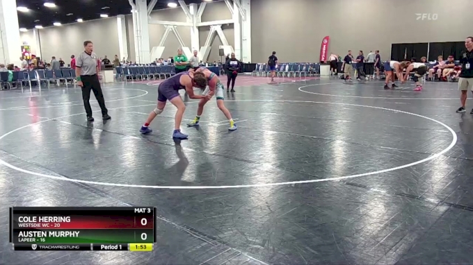 157 lbs Round 4 (10 Team) - Austen Murphy, Lapeer vs Cole Herring ...