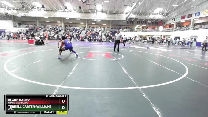 149 lbs Champ. Round 2 - Blake Haney, Grand View (Iowa) vs Terrell ...