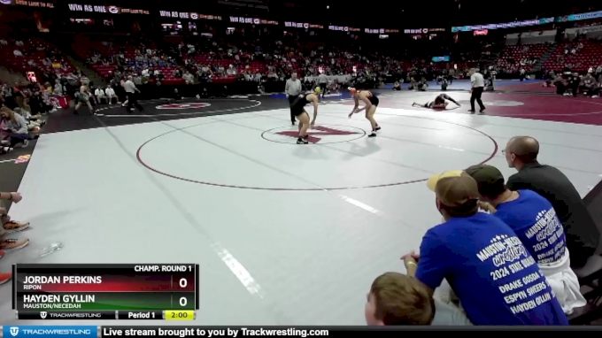 D2-190 lbs Champ. Round 1 - Jordan Perkins, Ripon vs Hayden Gyllin ...