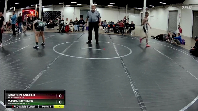 110 lbs Placement (4 Team) - Mason Messner, Virginia Patriots vs ...