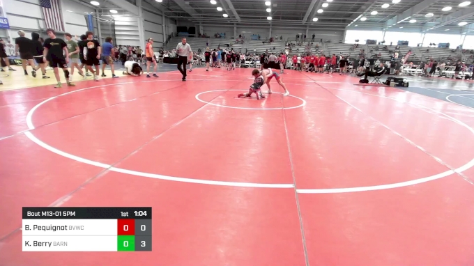113 lbs Rr Rnd 1 - Bryce Pequignot, Buffalo Valley Wrestling Club Blue ...