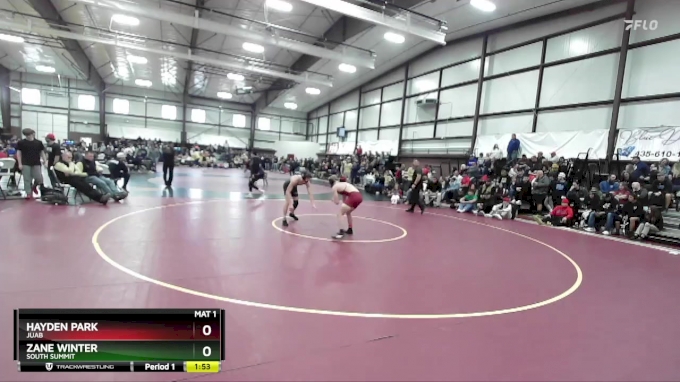 138 lbs Quarterfinal - Hayden Park, Juab vs Zane Winter, South Summit