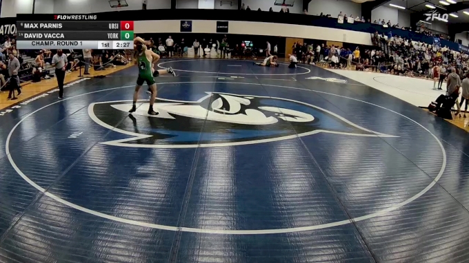 149 lbs Champ. Round 1 - David Vacca, York (pa) vs Max Parnis, Ursinus
