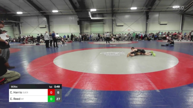 80 lbs 3rd Place - Cael Harris, Guerrilla Wrestling Academy vs Colton ...
