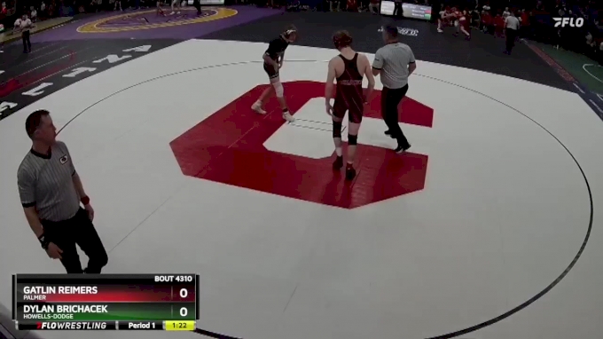 Semifinal - Dylan Brichacek, Howells-Dodge vs Gatlin Reimers, Palmer