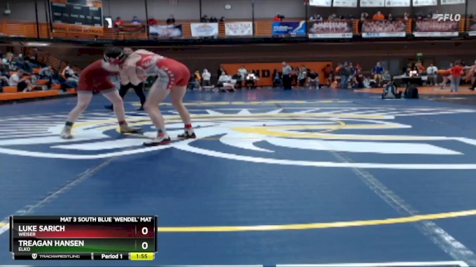 160 lbs Quarterfinal - Luke Sarich, Weiser vs Treagan Hansen, Elko