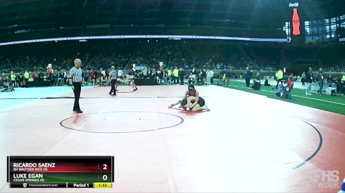 D2-126 lbs Quarterfinal - Ricardo Saenz, BH Brother Rice HS vs Luke ...