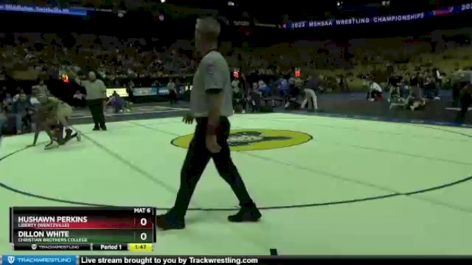 113 lbs Champ. Round 1 - Hushawn Perkins, Liberty (Wentzville) vs ...