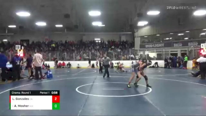 92 lbs Champ. Round 1 - Alainnah Mosher, Holt WC vs Lillianna Gonzales ...