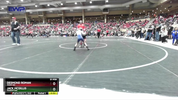58 lbs Champ. Round 1 - Desmond Roman, Maize WC vs Jack McGillis, Manhattan