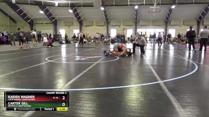 149 lbs Champ. Round 2 - Carter Gill, Buffalo-unattached vs Kaiden ...