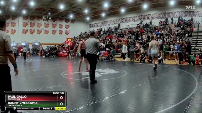 215 lbs Quarterfinal - Paul Gallo, Brecksville B vs Danny Zmorowski ...