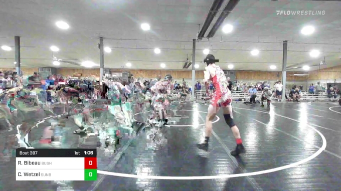 152 lbs Semifinal - Robbie Bibeau, Bushkill vs Connor Wetzel, Sunbury