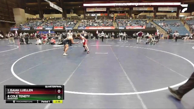 174 lbs Quarterfinal - 1 Isaiah Luellen, Grand View vs 8 Cole Tenety ...