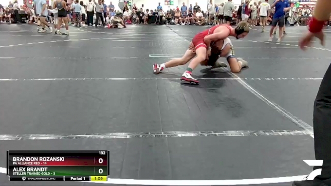 132 lbs Round 2 (6 Team) - Brandon Rozanski, PA Alliance Red vs Alex ...