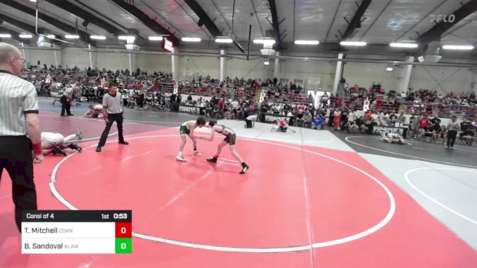 74 lbs Consi Of 4 - Ty Mitchell, Cornerstone Wrestling Club vs Brandon ...