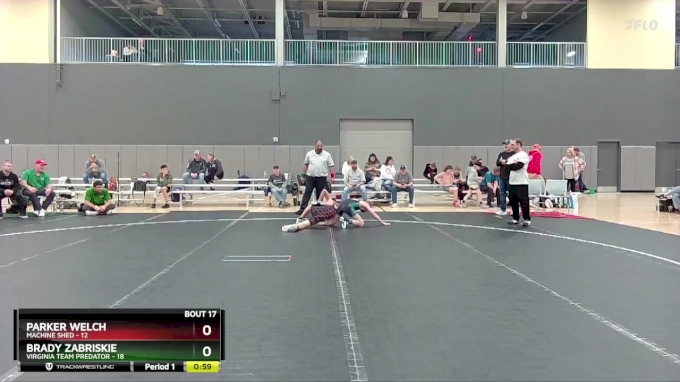 96 lbs Round 4 (10 Team) - Brady Zabriskie, Virginia Team Predator vs ...