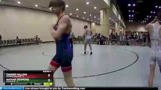 113 lbs Round 5 (8 Team) - Nathan Desmond, MAWA Blue vs Tanner Halling ...