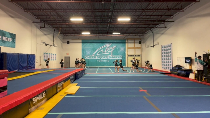 Cheer Sport Sharks - Toronto - Finback Sharks [Open Level 5] 2022 ...