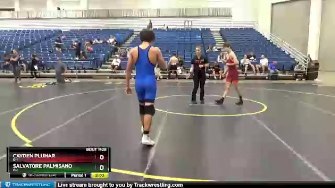 120 lbs Cons. Round 4 - Cayden Pluhar, OH vs Salvatore Palmisano, OH