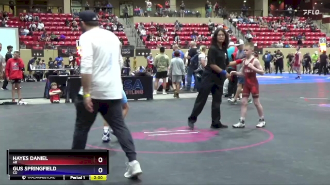 78 lbs Quarterfinal - Hayes Daniel, AR vs Gus Springfield, CO