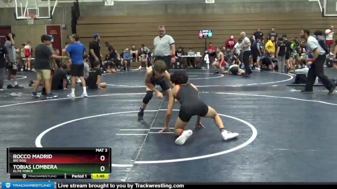 115 lbs Quarterfinal - Rocco Madrid, Big Dog vs Tobias Lombera, Elite Force