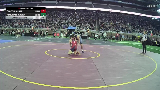 D1-106 lbs Quarterfinal - Jacob Busse, Livonia Franklin vs Michael Abbey, Hartland HS