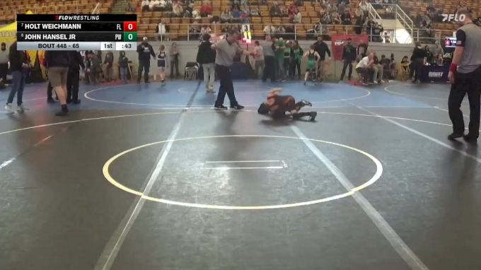 65 lbs 1st Place Match - John Hansel Jr, Pursuit Wrestling vs Holt ...
