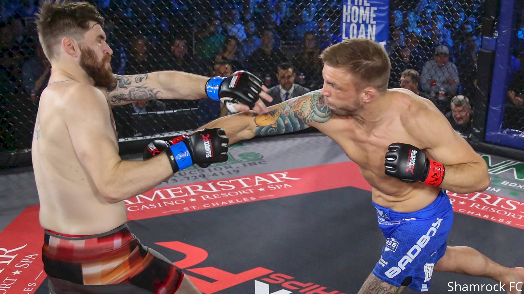 2018 Shamrock FC 313 - MMA Event - FloCombat