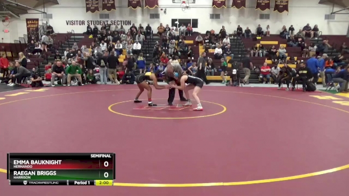 115 lbs Semifinal - Raegan Briggs, Harrison vs Emma Bauknight, Hernando
