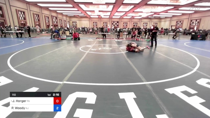 110 lbs Quarterfinal - Julia Horger, Pa vs Princessstorm Woody, Nj